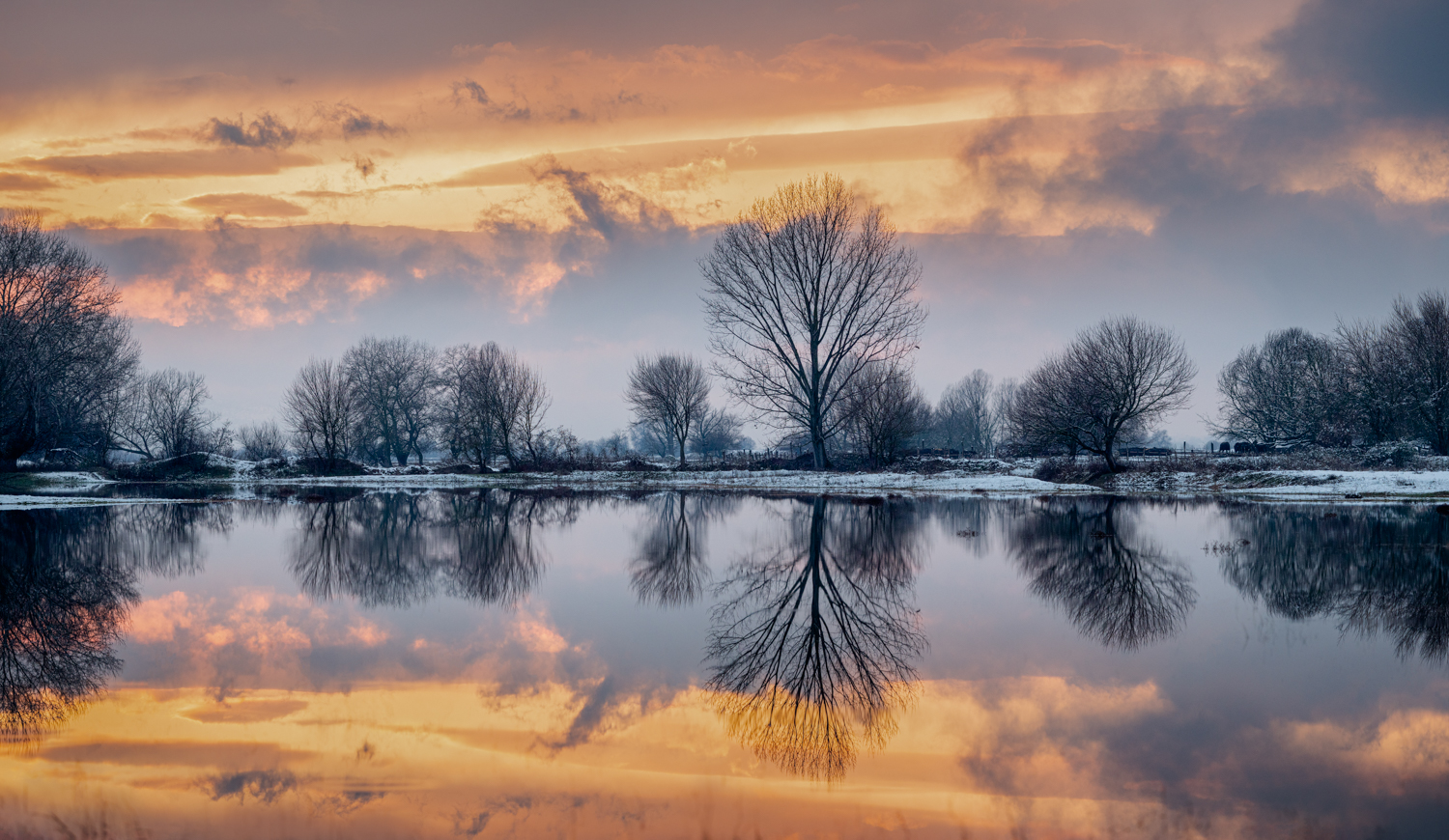 N.E.C.C.A. – Natural Environment Climate & Change Agency