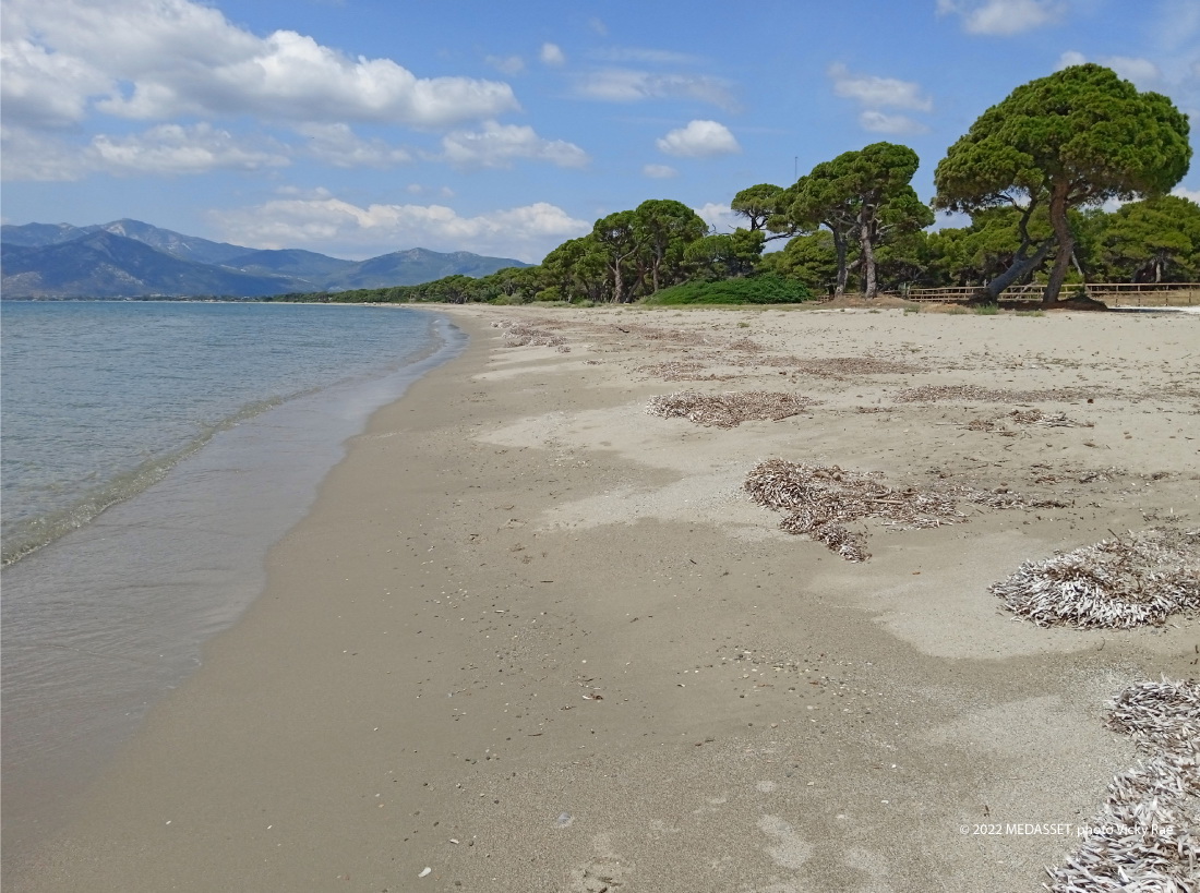 Έκθεση φωτογραφίας για τις Προστατευόμενες Περιοχές της Αττικής – Ο.ΦΥ ...