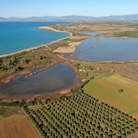 Υγρότοποι Νέας Φώκαιας – Ο.ΦΥ.ΠΕ.Κ.Α.
