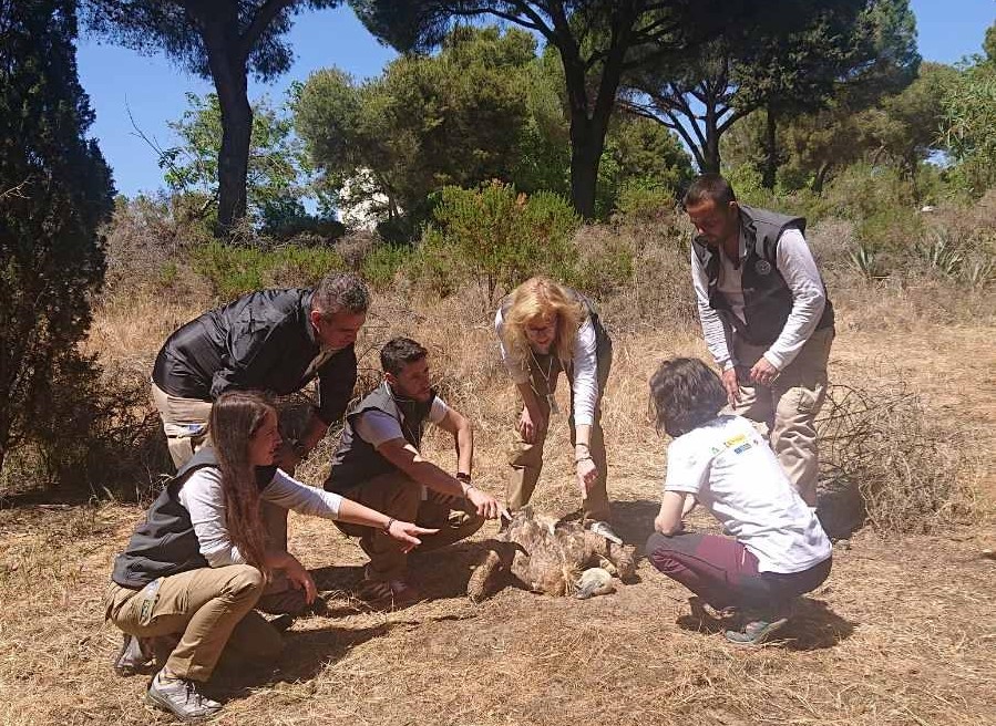 Στελέχη του ΟΦΥΠΕΚΑ συμμετείχαν σε σεμινάρια της Wild Life Academy για ...