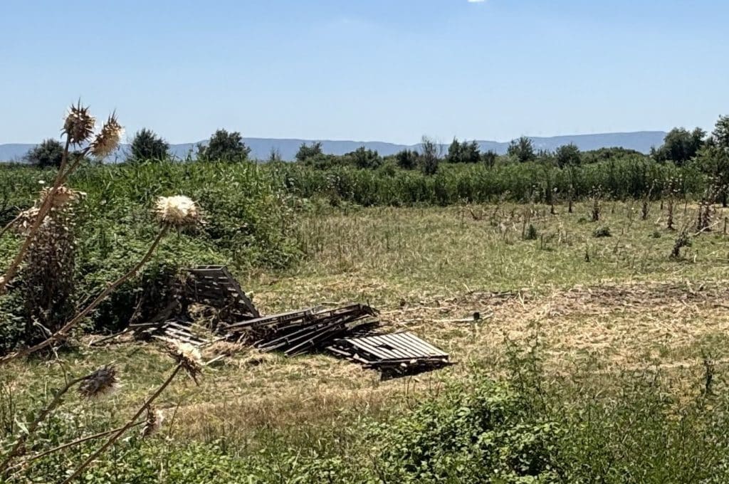 Έργο καθαρισμού και απορρύπανσης στο Εθνικό Πάρκο Δέλτα Έβρου – Ο.ΦΥ.ΠΕ ...